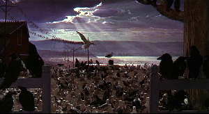 Webb's Blog: The Birds - Directed by Alfred Hitchcock