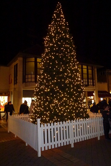 YourColchester.co.uk Blog: A Very Festive Saturday Afternoon in Colchester