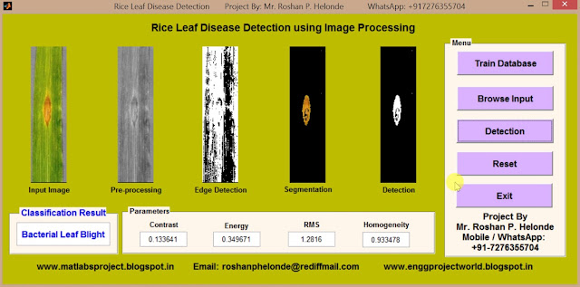 Rice Leaf Disease Detection using Image Processing Matlab Project with ...