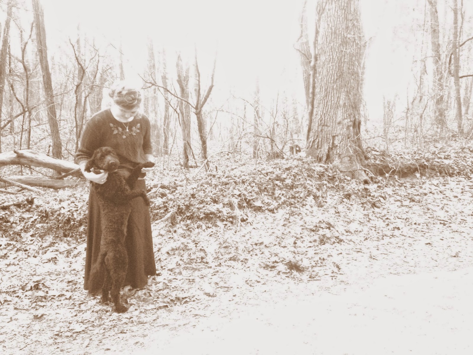 Calico Sisters: Outfit // Just Because