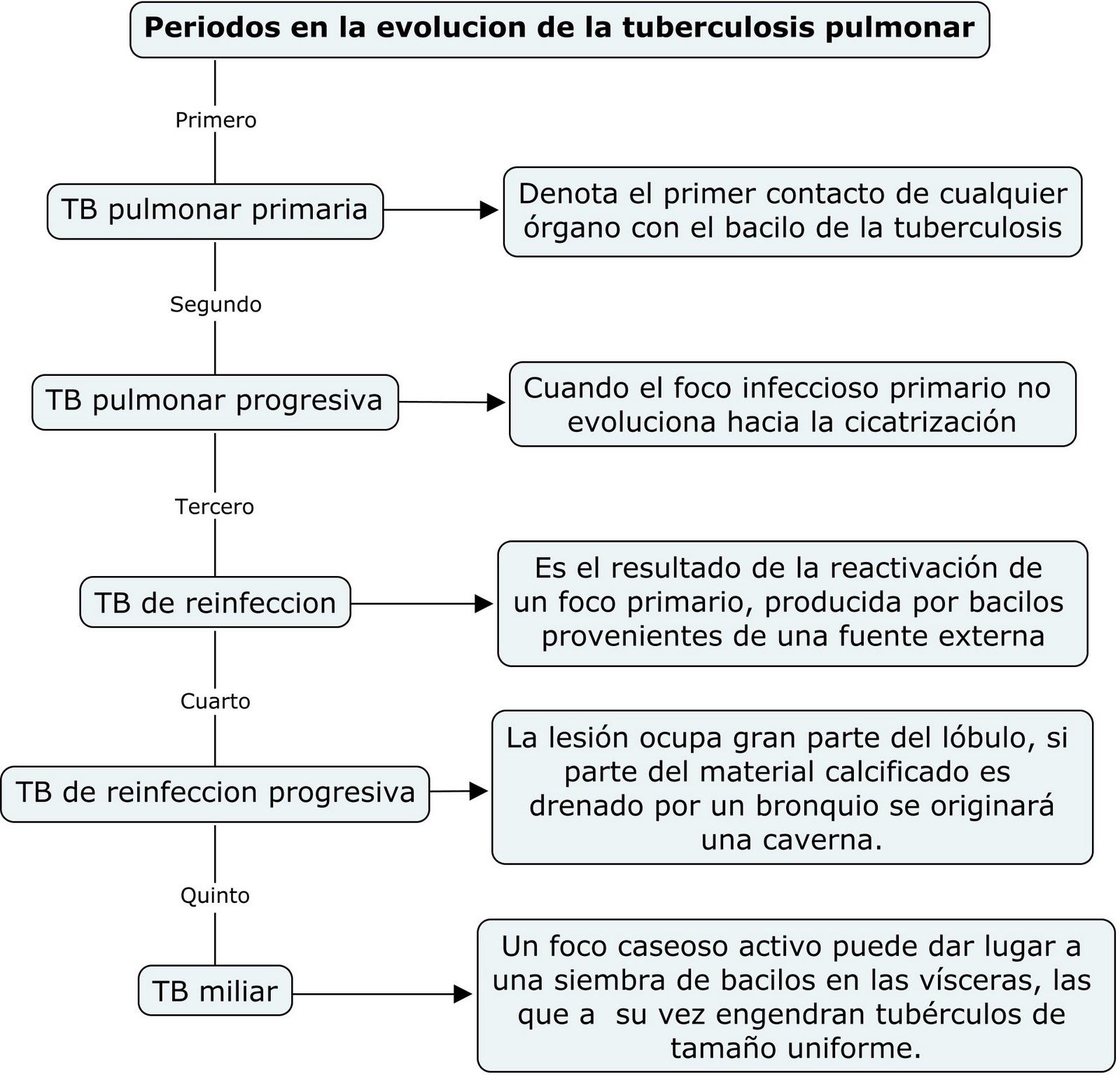 LA TUBERCULOSIS PULMONAR: Entrada 5