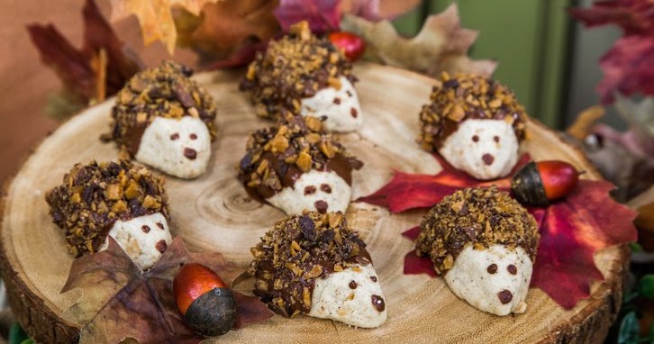 The Classic Nickelodeon Fan Blog: Classic Nick Wednesday – Hedgehog Cookies