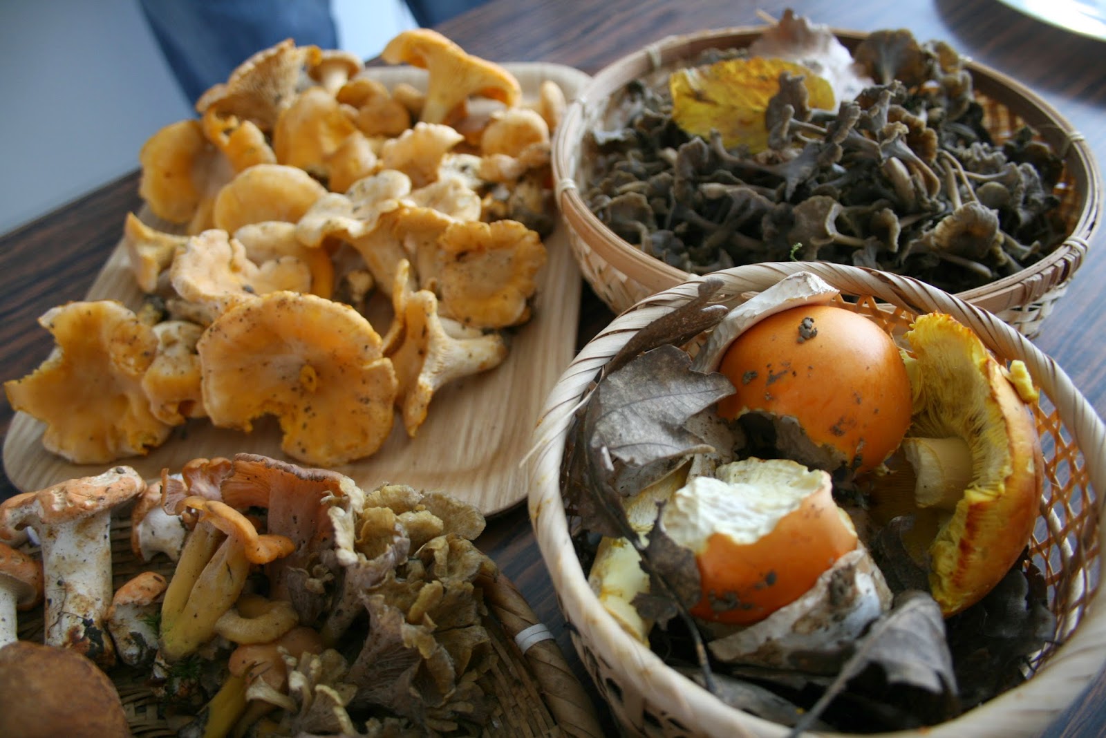 Comment cultiver des champignons maison