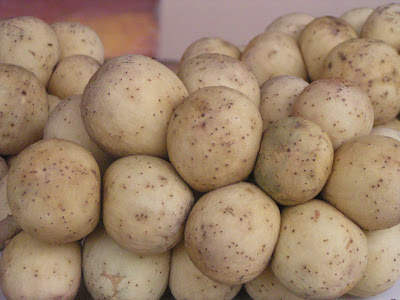 Manfaat dan Khasiat Buah Langsat | UNIBIO NETWORK