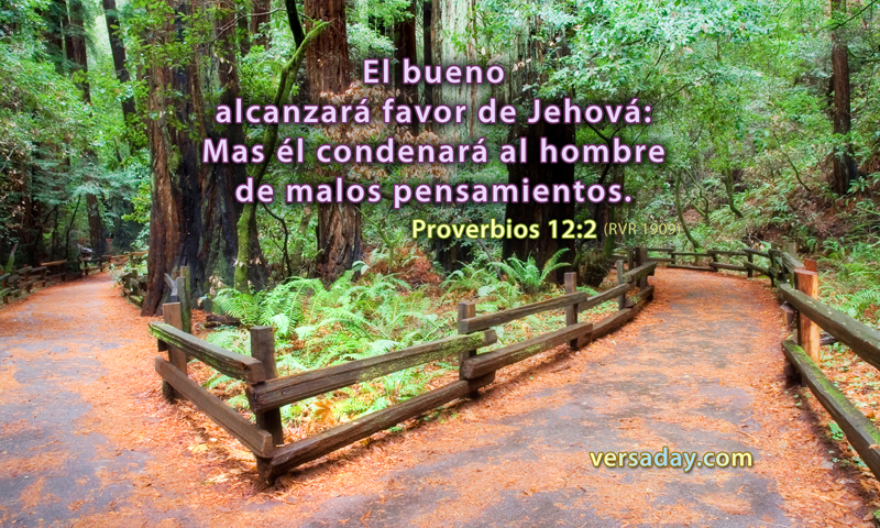 Aprendiendo la Sana Doctrina: 11/08/12