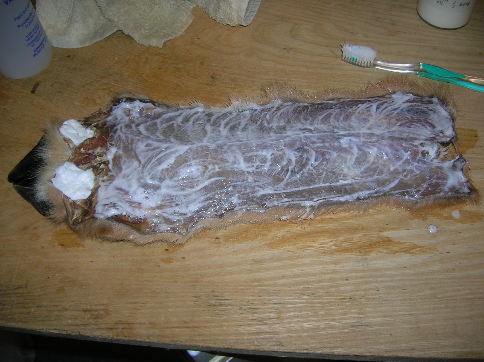 Musings of Musang: Mule Deer hock skin: part 2 - removing long and ...