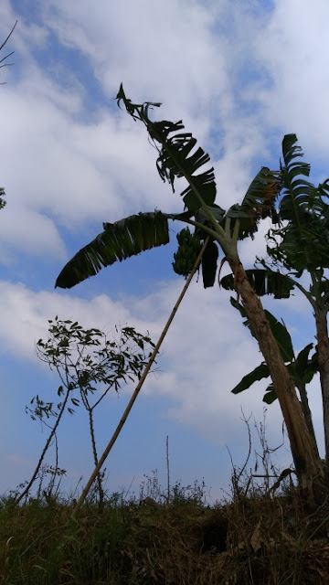 “Terdampar” di Desa Cimenyan, Kecamatan Cimenyan, Kabupaten Bandung ...