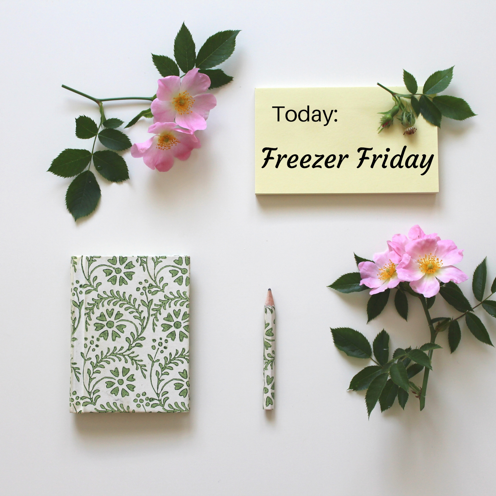 Brief and Balanced: Freezer Friday & Four tips to maximize your fridge