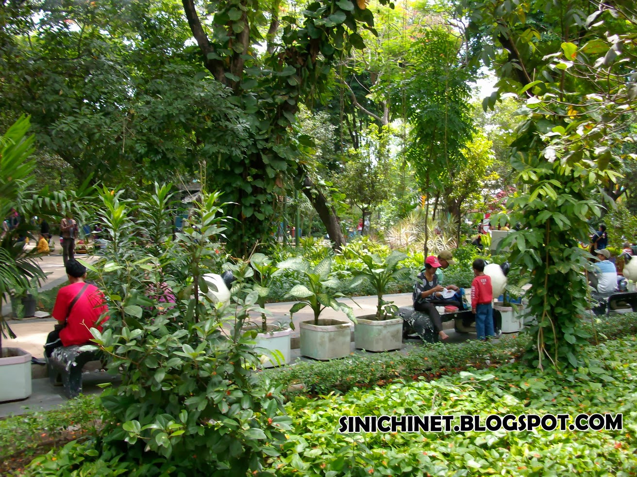 Taman Flora (Kebun Bibit) Bratang Surabaya | SINICHINET