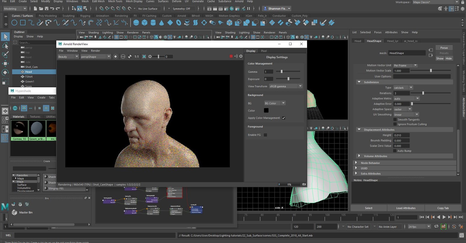 Toolkit 2: Autodesk Maya - Sub Surface Scattering