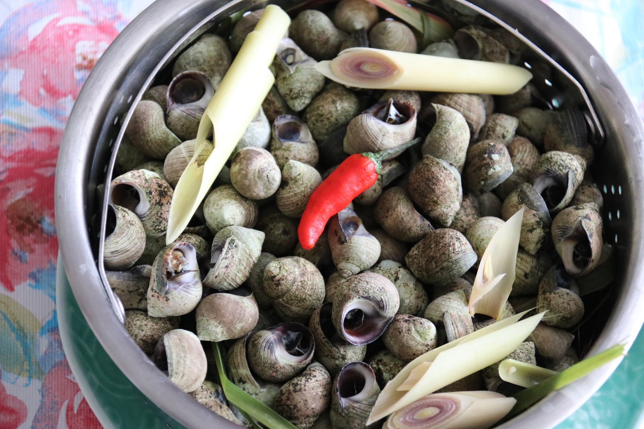 Boriville: Periwinkle Snail Steam Lemongrass (Ốc hấp sả) Recipe