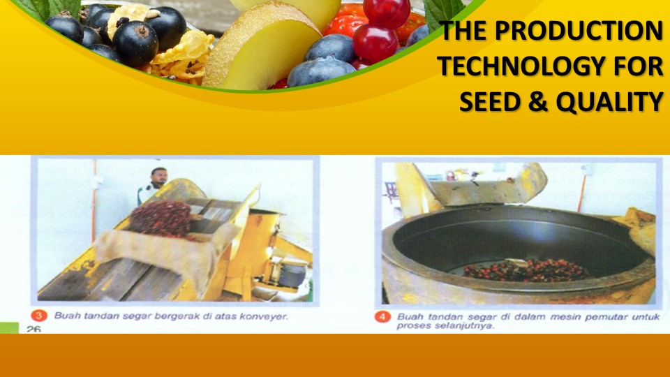 THE PRODUCTION TECHNOLOGY FOR SEED & QUALITY