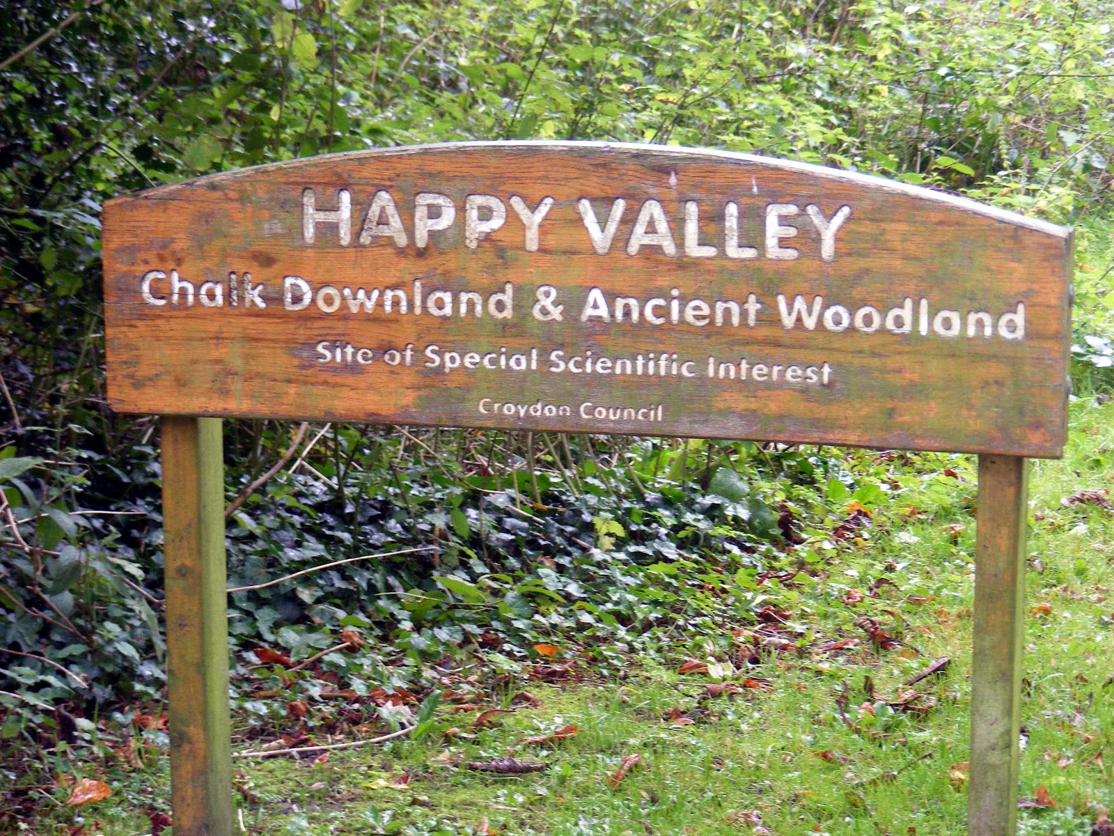 TheLondonLoop: London Loop-Hamsey Green to Banstead 3rd October 2012