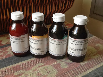 Singapore - Our Home: Polyclinics