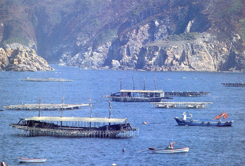 Galicia Agraria: Hórreos y bateas, distintivos del paisaje gallego