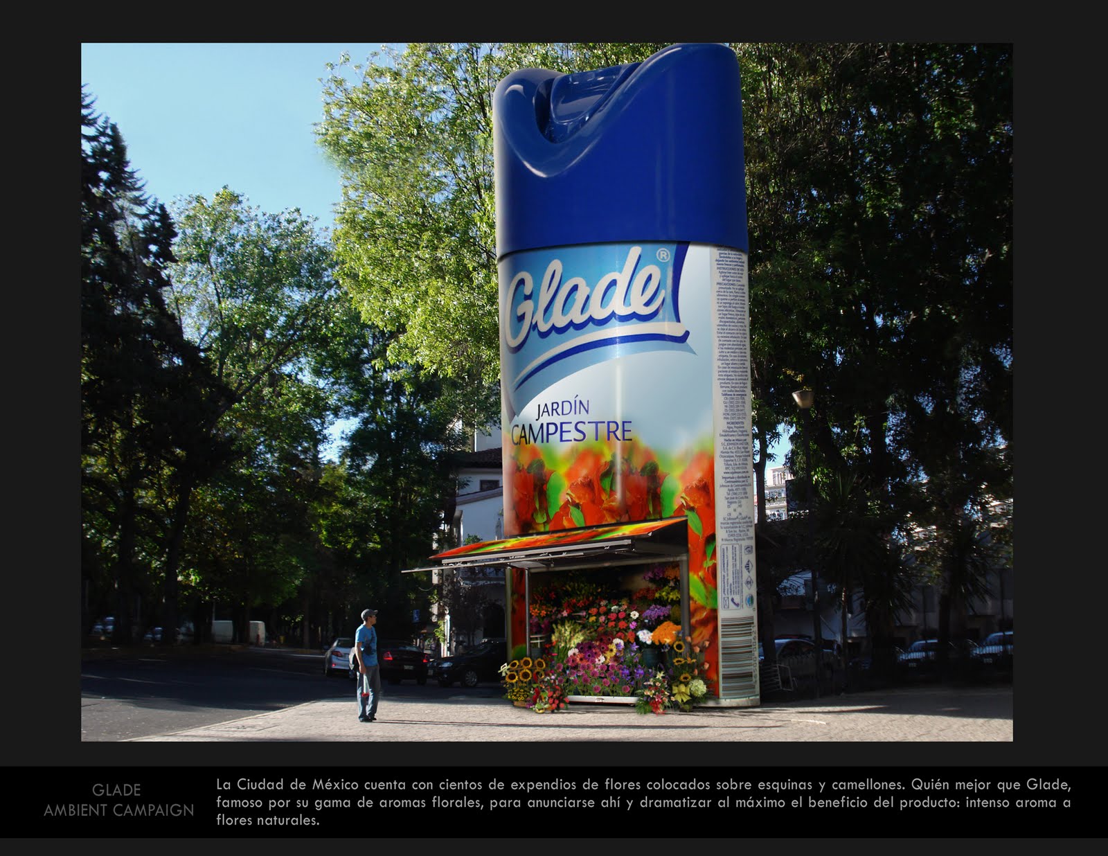 No es blog, es book. Son 2 páginas.