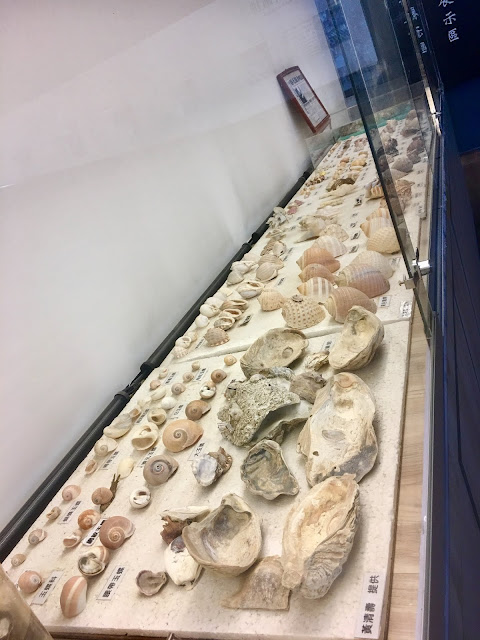 Tainan Travel: Visiting Anping ~ Oyster Shell Kiln Museum - My Life Abroad