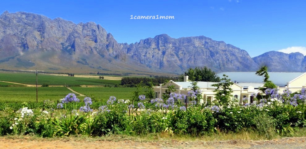 1camera1mom: Opstal: Wine Estate and Restaurant