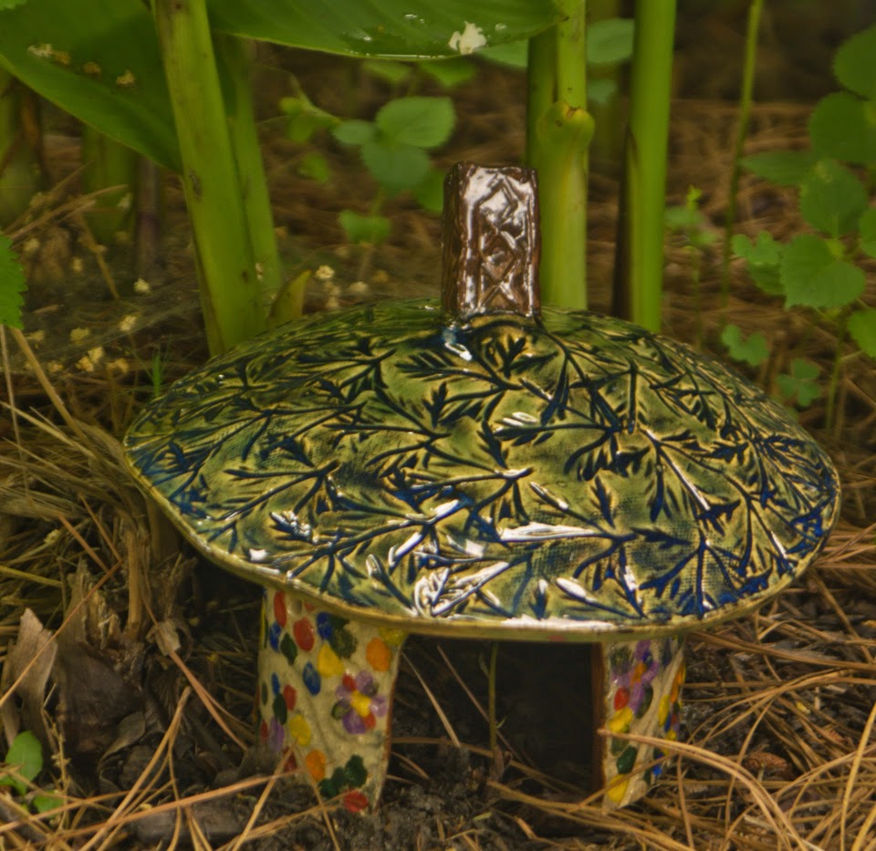 Gardening in the Heart of Virginia: How to Help the Toads