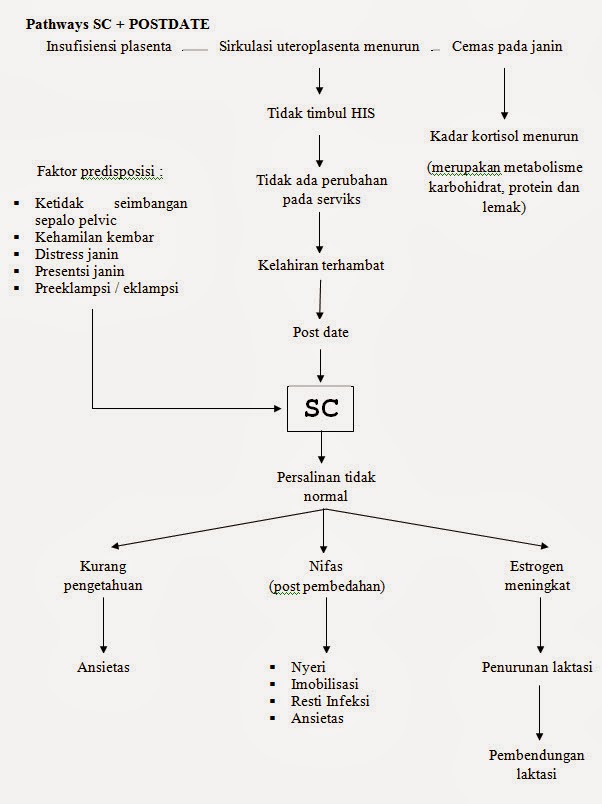 LAPORAN PENDAHULUAN SC (SECTIO CAESARIA)