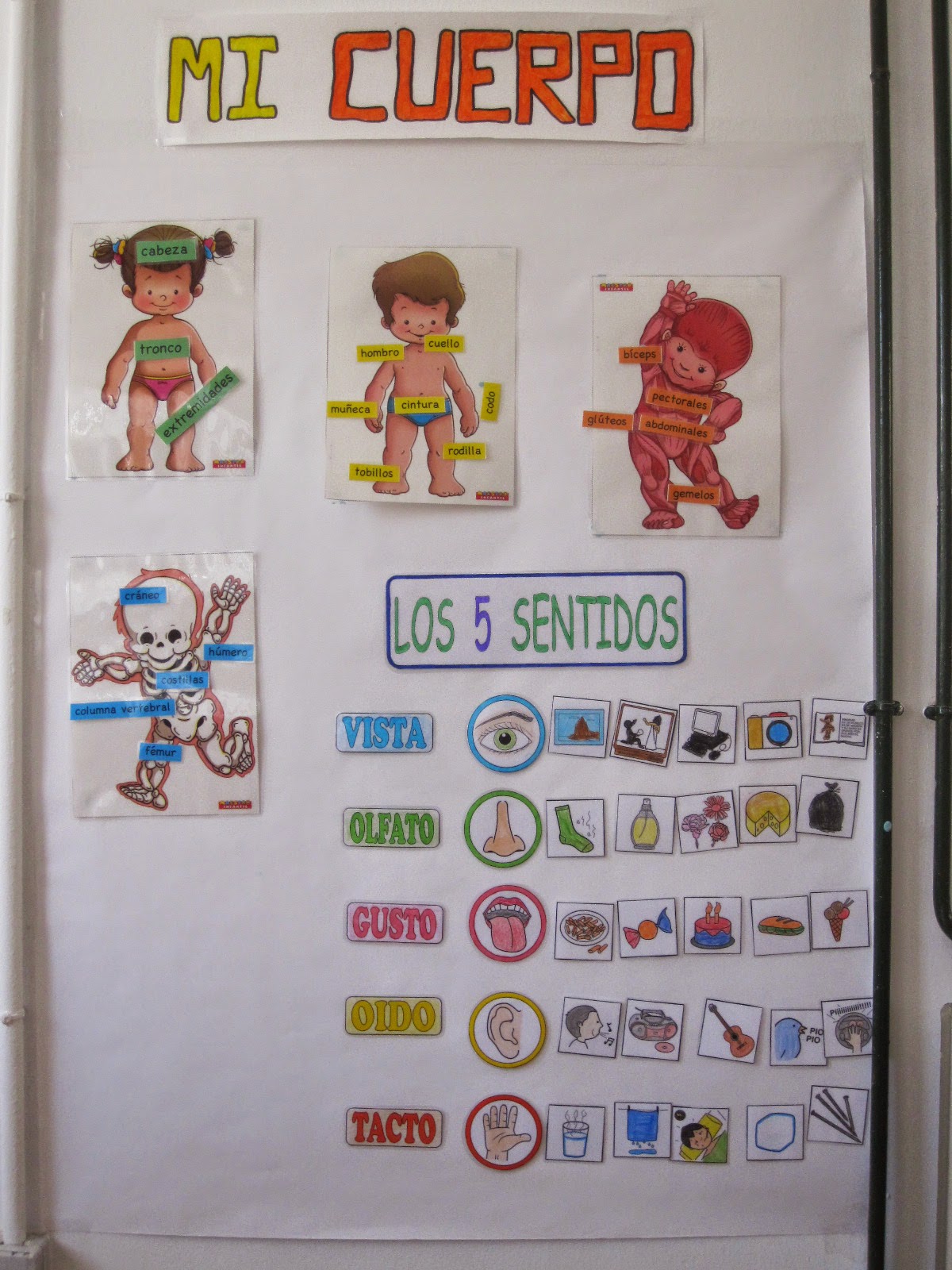 pequefactoria: MURAL: el cuerpo y los sentidos