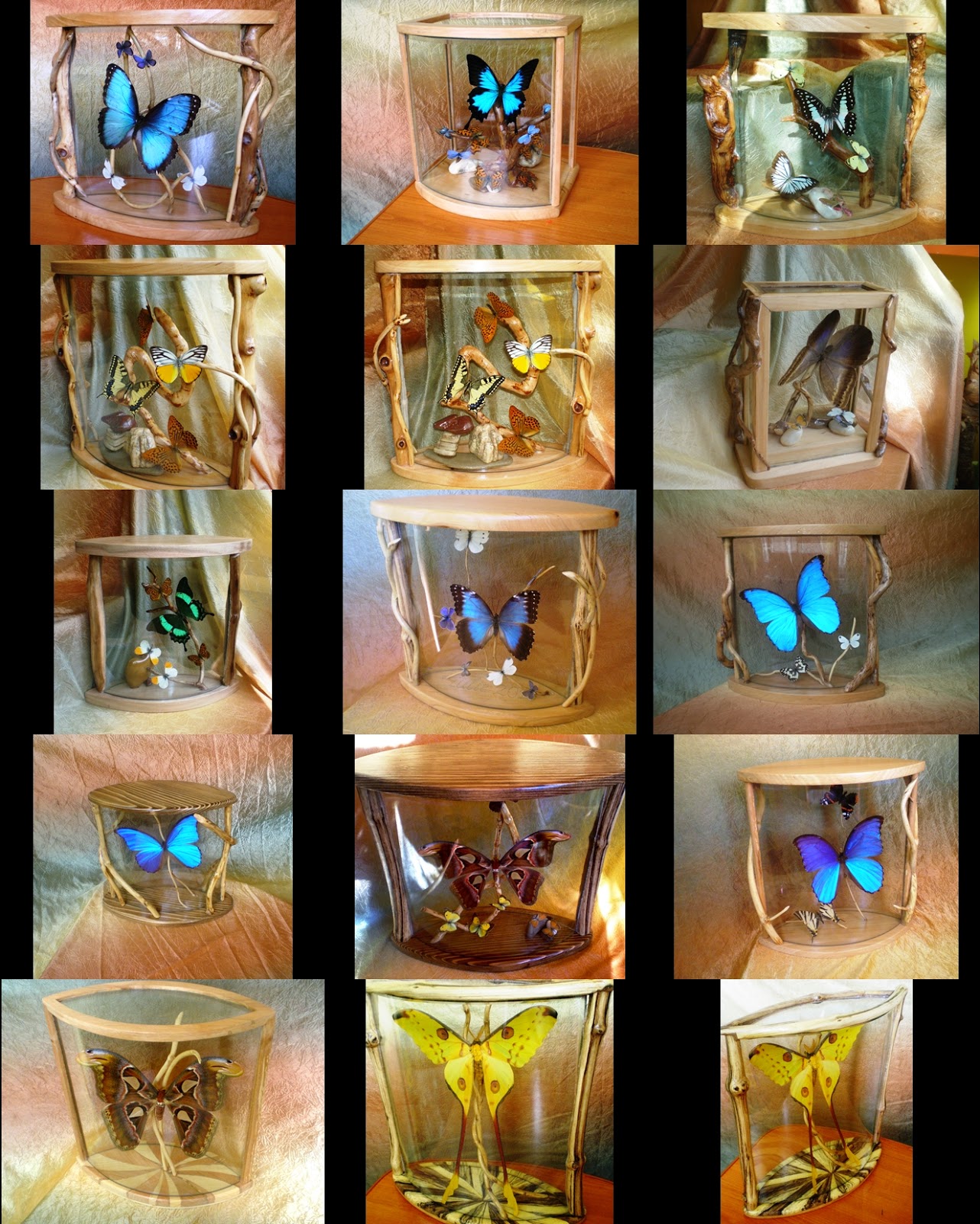 Fluturi Inramati : Tablouri si aranjamente 3D din fluturi naturali ...