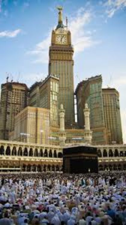 Macca Wallpaper HD - Wallpaper Box