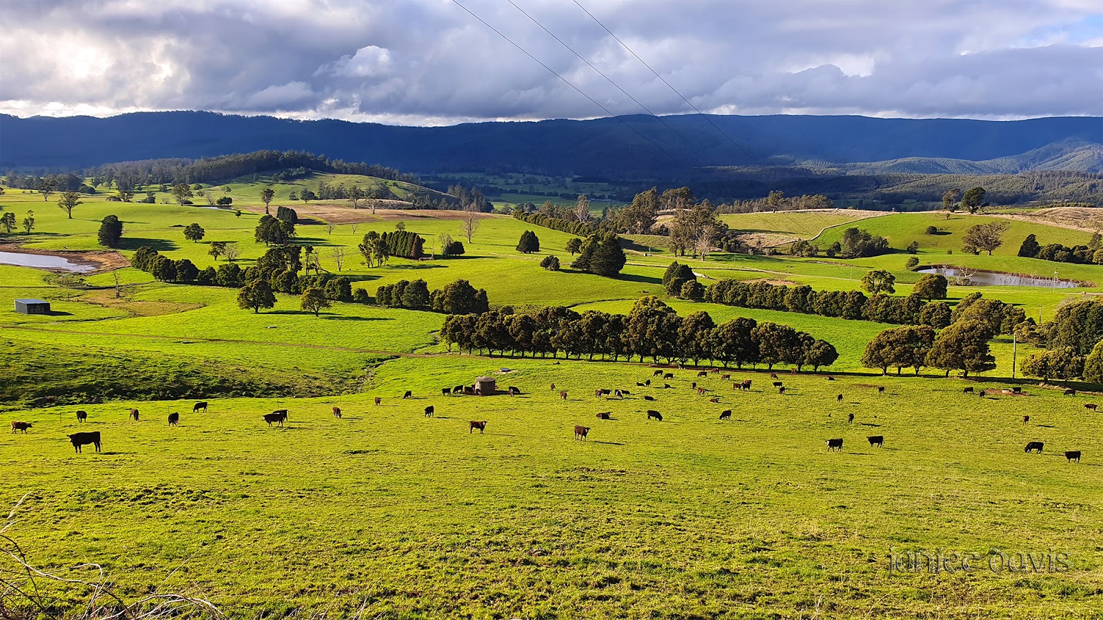 thoughts & happenings: Mathinnia