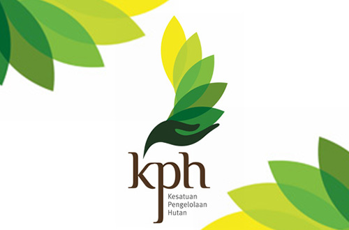 Blog Mas Danang: Apa Itu Kesatuan Pengelolaan Hutan (KPH)