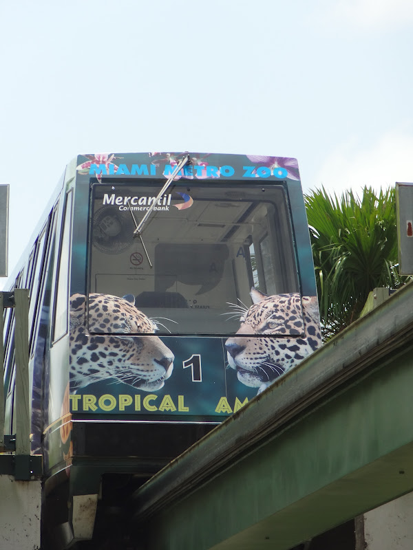 MORE KIDS THAN SUITCASES: Staying Cool at Zoo Miami