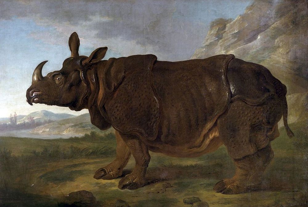 Dürer's Rhinoceros: A 16th-Century Viral Fake | Amusing Planet