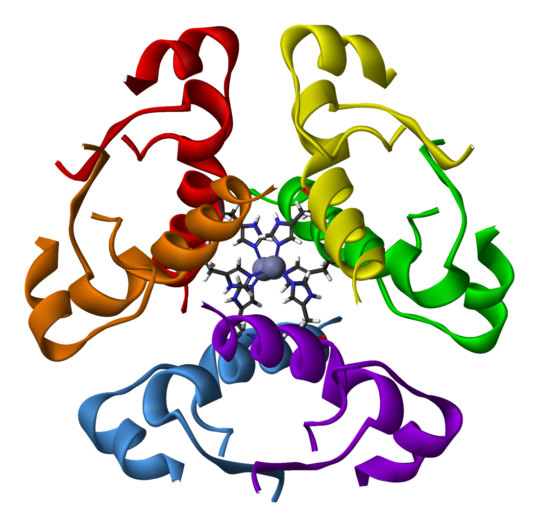 La Hormona Insulina Y Su Papel Para La Salud Del Cuerpo