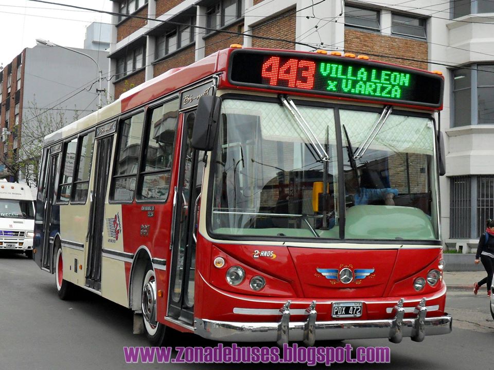 Colectibus - Zona de Buses: LINEA 443