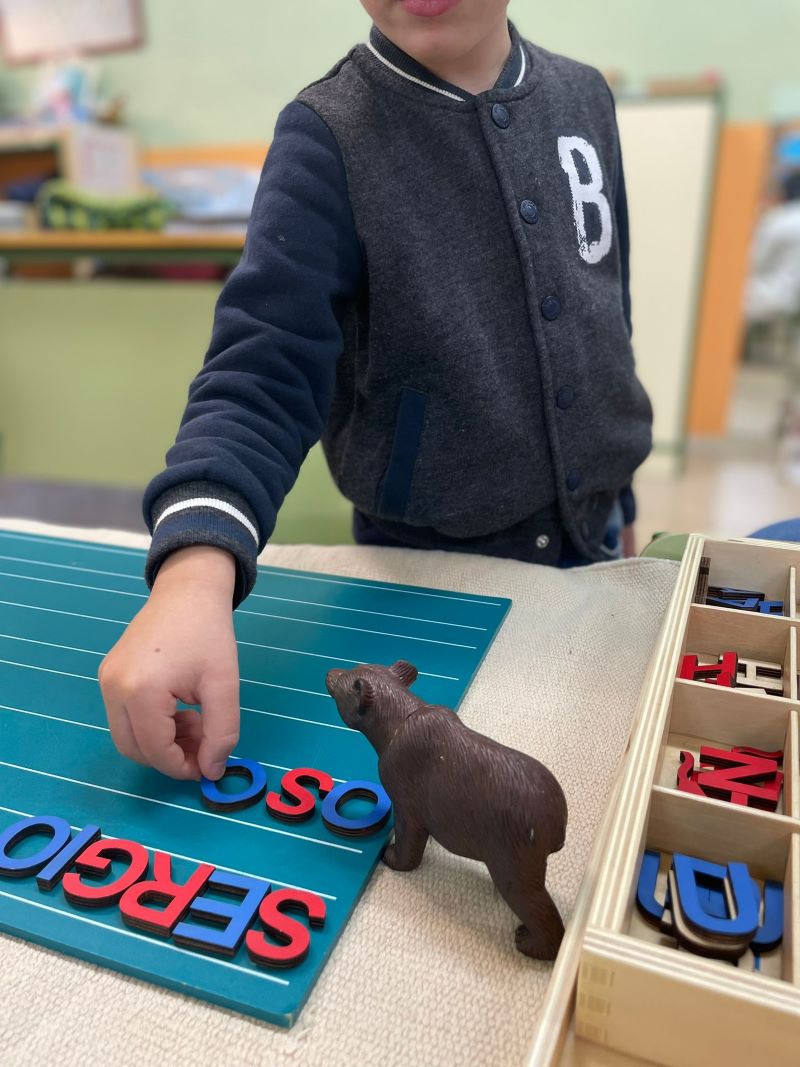 LAS TARJETAS DE TRES PARTES MONTESSORI