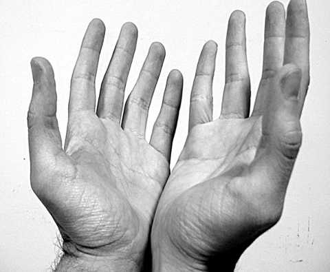 What Is A Contrite Heart? ~ dailyJesus