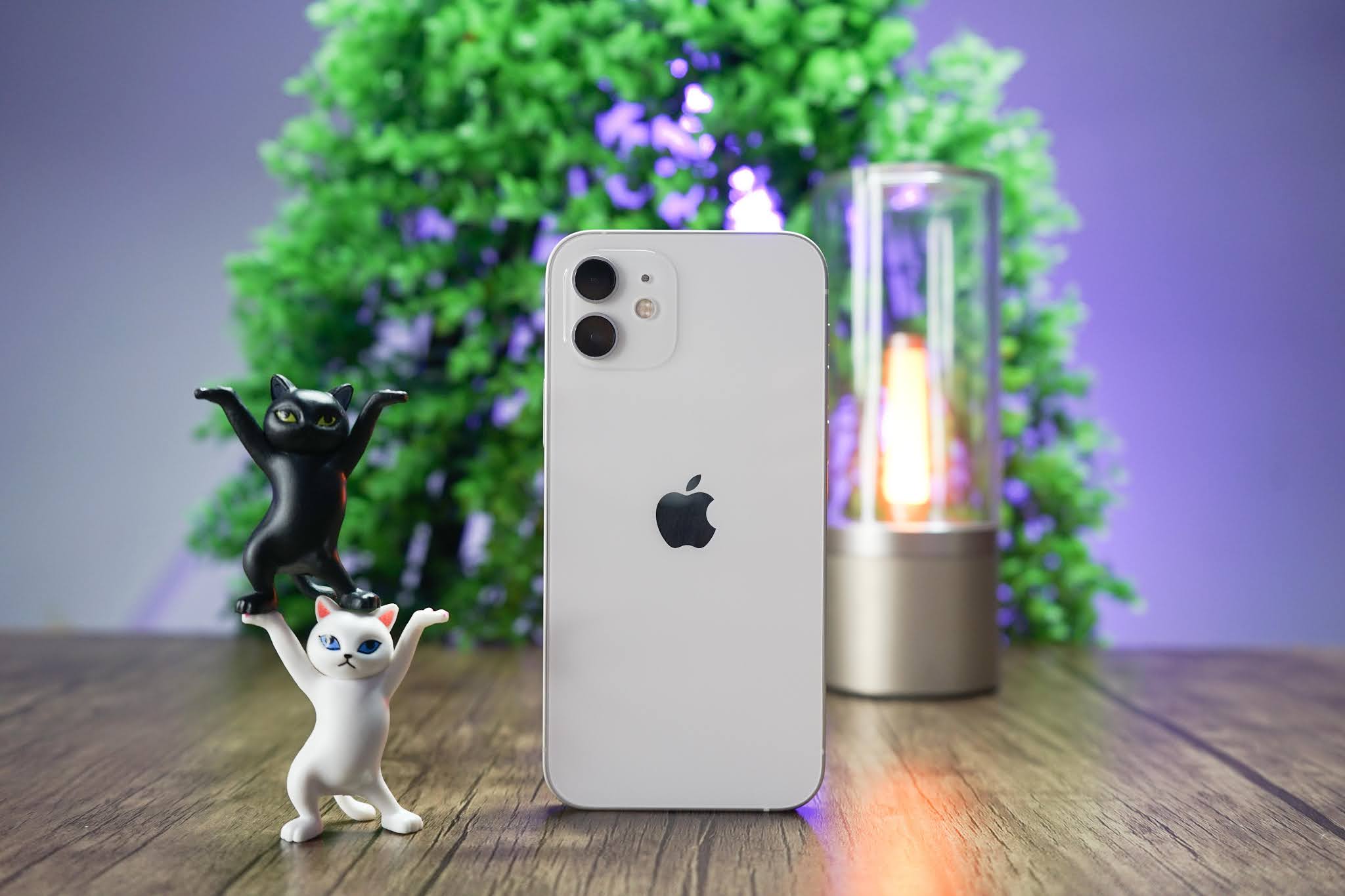 All You Need to Know About Apple's iPhone 12 Review - Specs, Colors ...