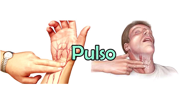 PULSO