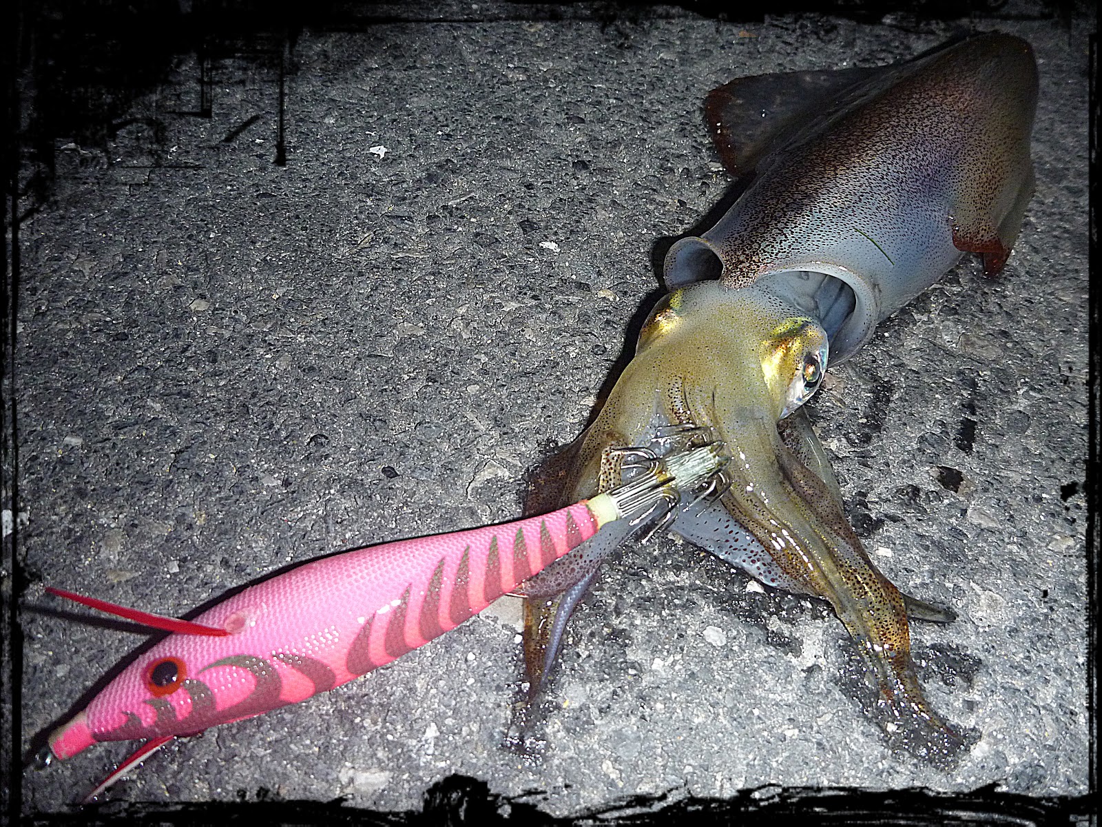 Spinning en el mar: LIGHT EGING Y CHIPIRON AL CANTO