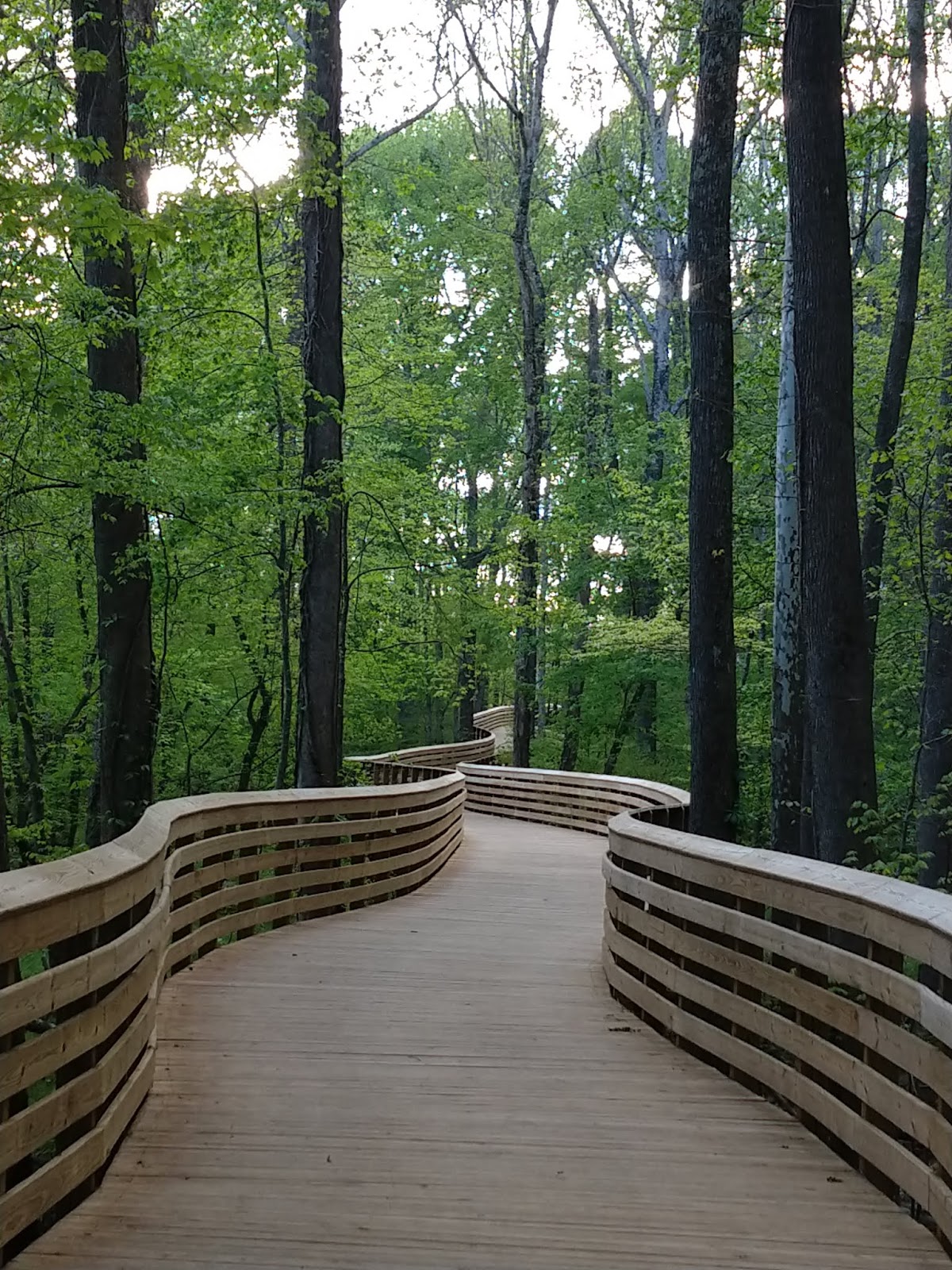 Jason's Jaunts: High Point Greenway