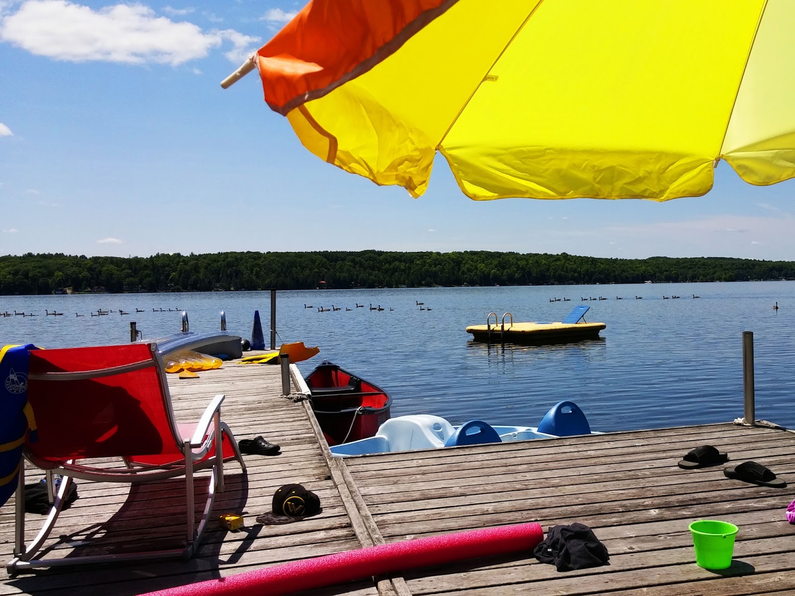 Woman in Real Life: Cottage Life