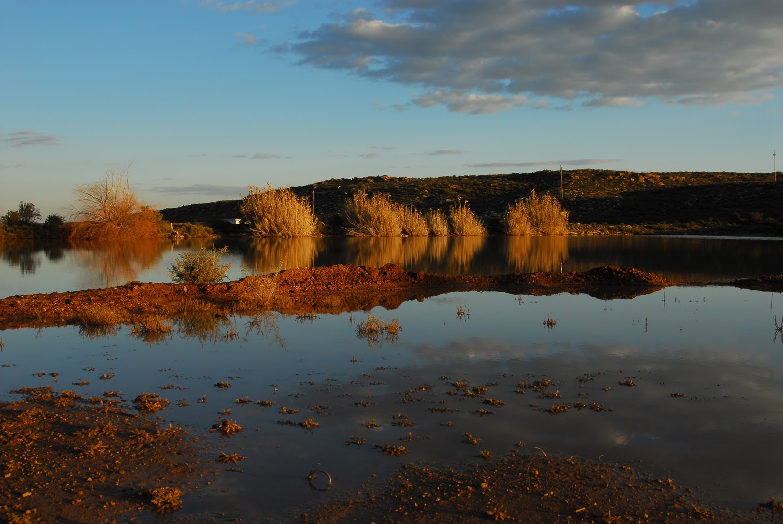 Postcards from a Small Planet: Sutherland Winter Light