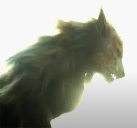 Indie Horror Films: Review: Skinwalker: The Howl of the Rougarou