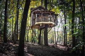 Scary and Abandoned Treehouses