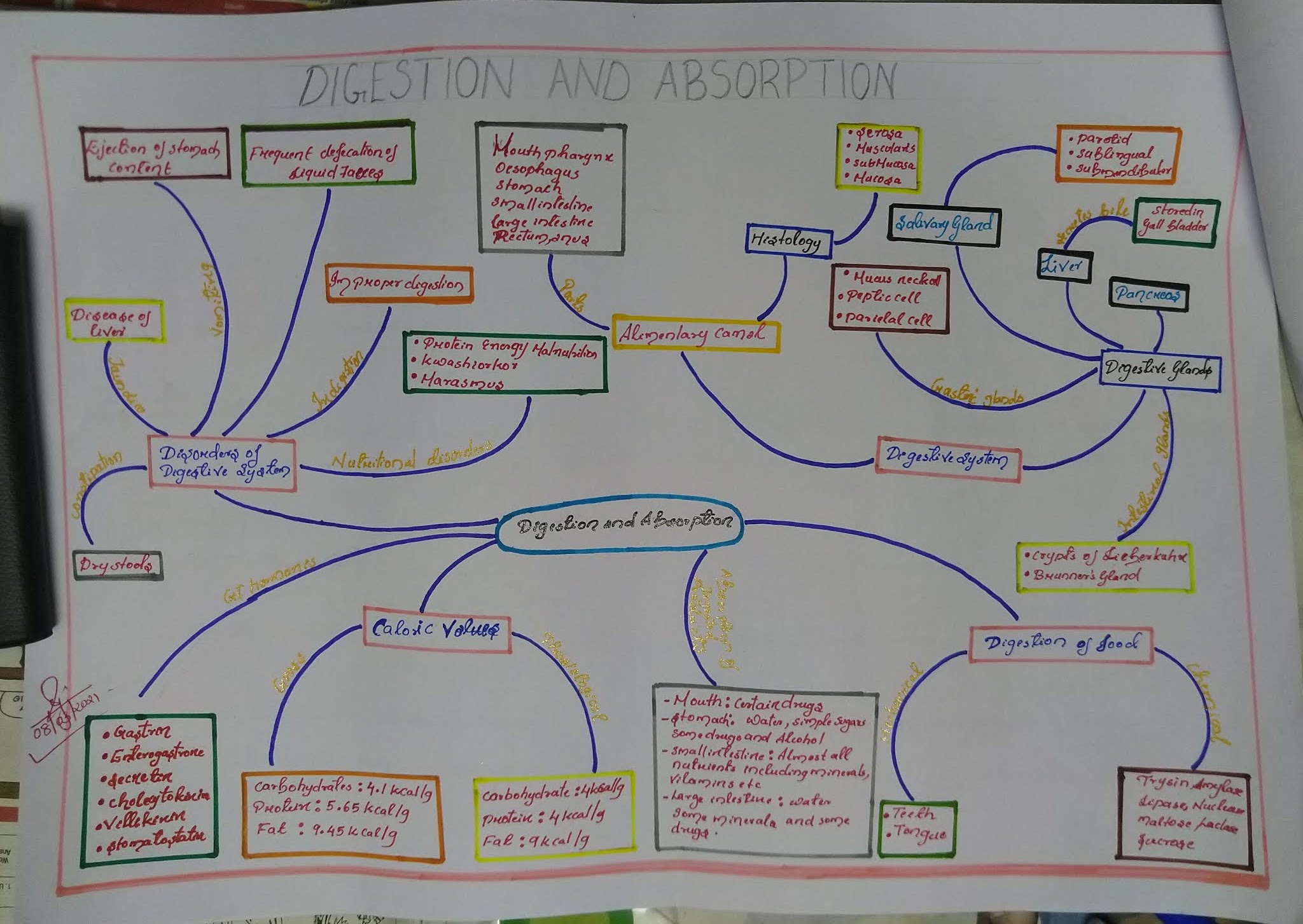 Concept Map Of Earth Science - United States Map