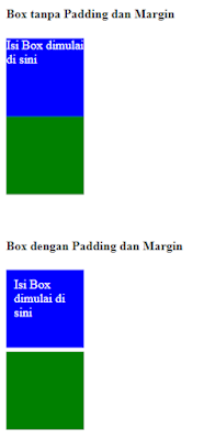 Cara Mengatur Margin dan Padding Menggunakan CSS