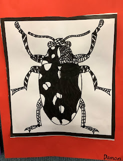 Art with Mrs Baker: Zentangle Bugs - Grade 1