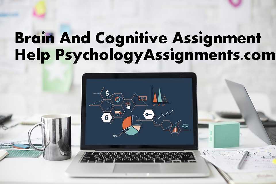 Expert Psychology Assignment