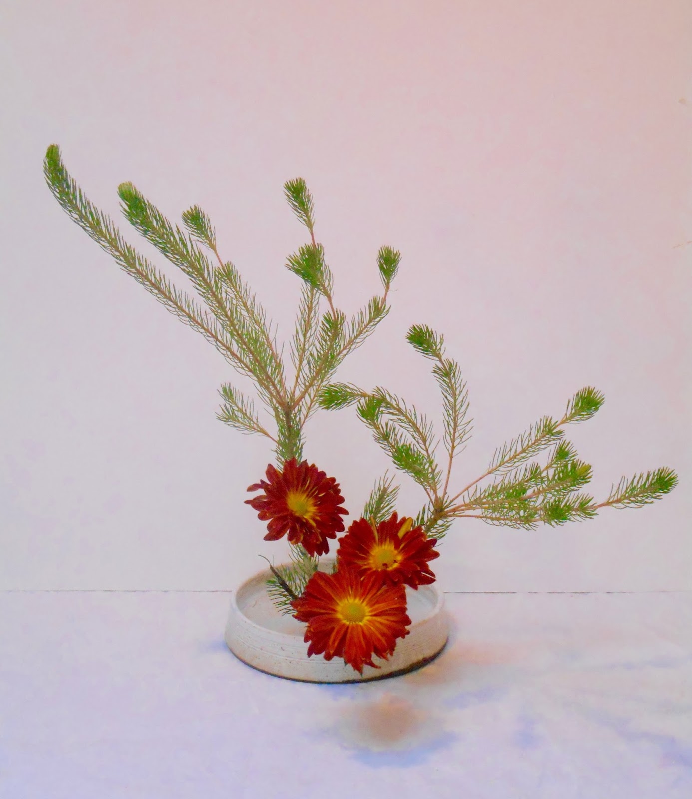 ikebana lessons: 2015