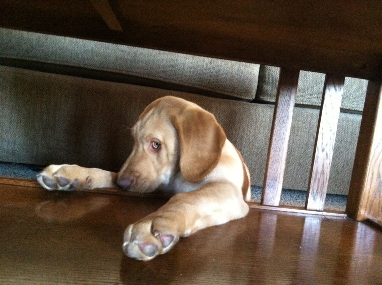 Mish Mash: Instagram & Diptic & Postal Pix Apps...How To