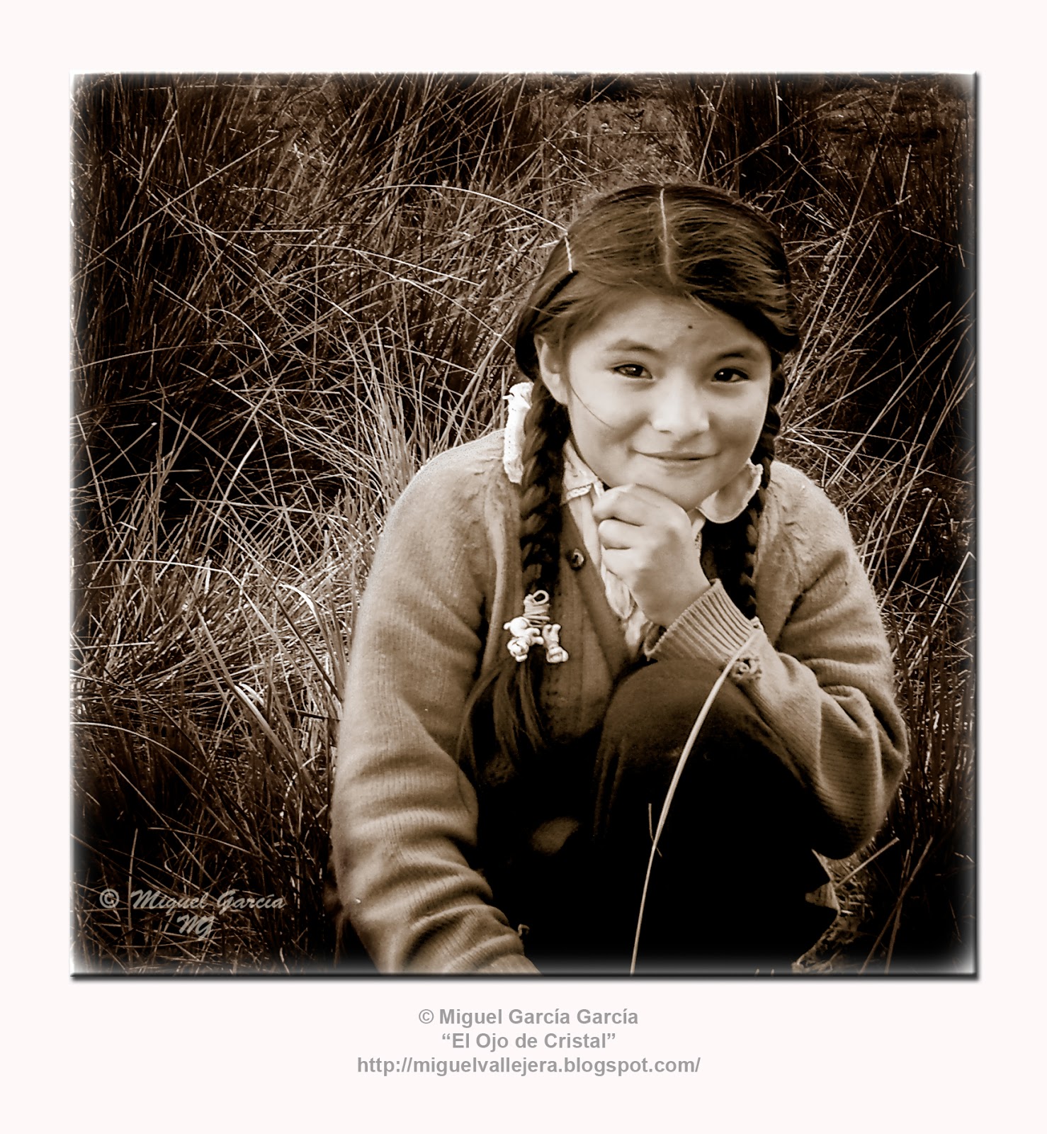 Pastorcilla andina. | El ojo de cristal. Fotografía Amateur.